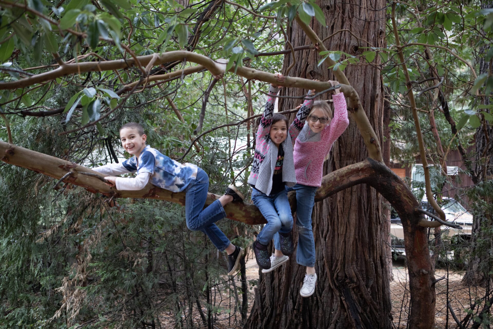 Six Unique Outdoor Learning Spaces - North Carolina Virtual Academy